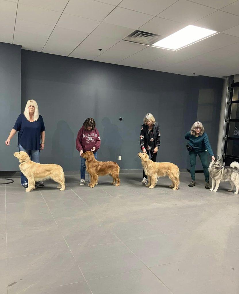 EVENTS/CLASSES – Duluth Kennel Club